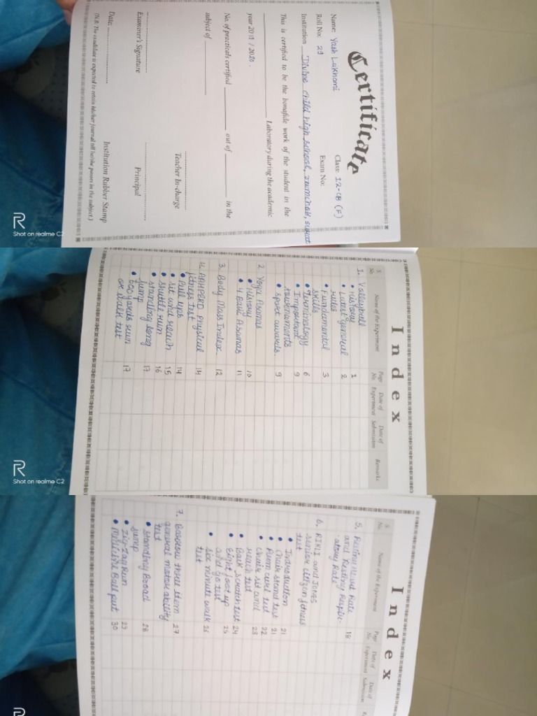 Physical Education Class 12 Practical File PDF | PDF