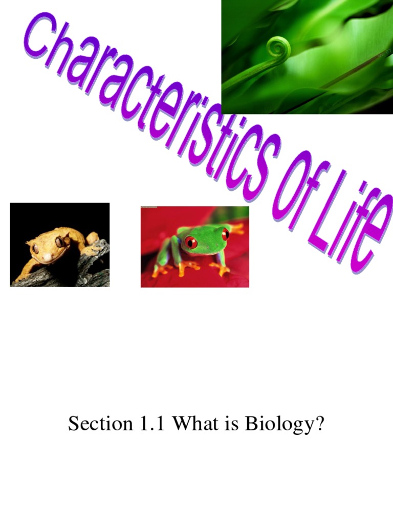 Characteristics of Living Things | PDF | Organisms | Cell (Biology)