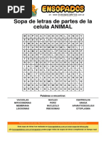 Sopa de Letras de Sistema Circulatorio 105 | PDF | Ciencia y matemáticas