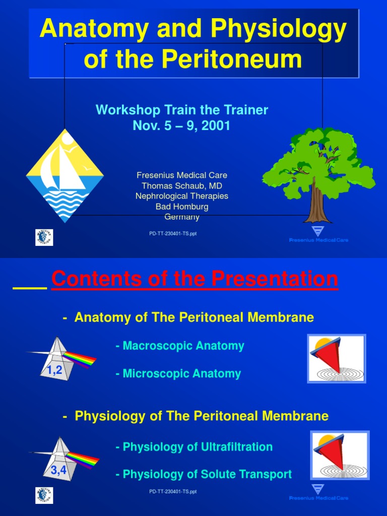 Anatomy Physiology Peritoneum Pdf Osmosis Peritoneum