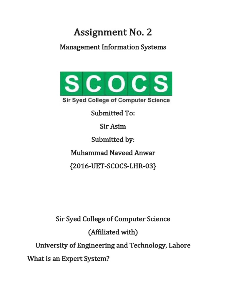 MIS Assignment | PDF | Expert | System