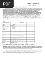 Urine Casts: Types and Reporting | PDF | Clinical Medicine | Kidney