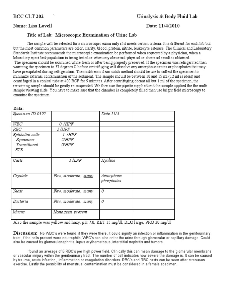 Bcc Clt 202 ` Urinalysis & Body Fluid Lab Name: Lisa Lovell Date: 11/4 ...