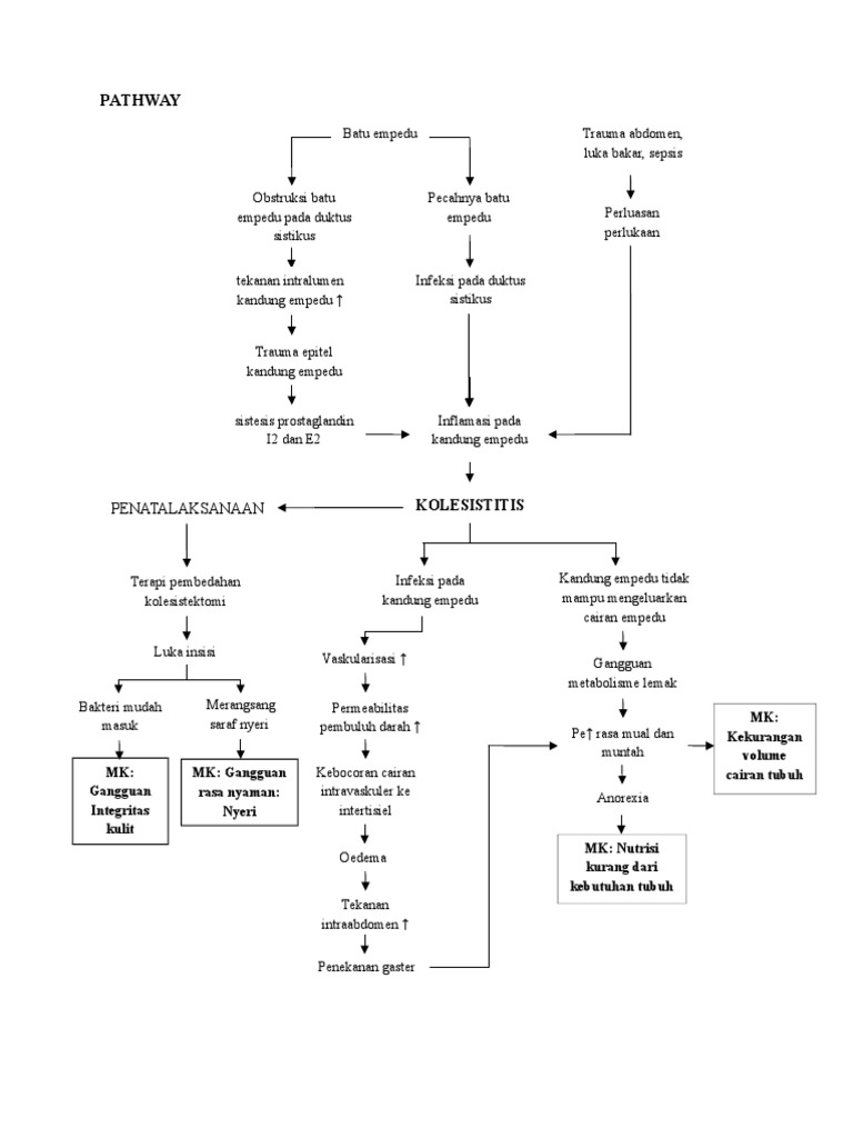 Pathway Cholecystitis | PDF
