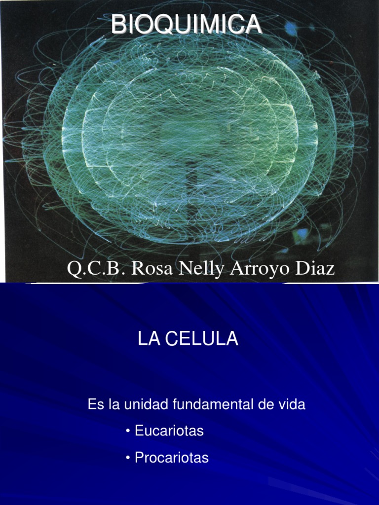 Bioquímica y Plasmalógenos en UVM | PDF | Aminoácidos | Glucosa