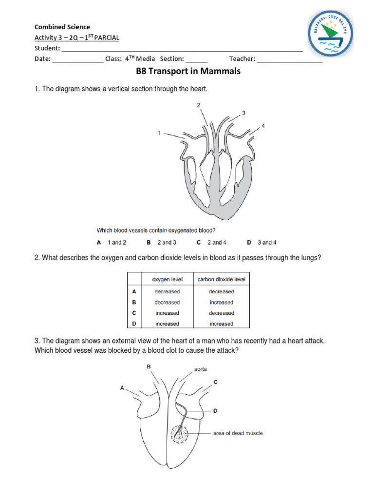 Combined Science b8 | PDF | Coronary Circulation | Heart