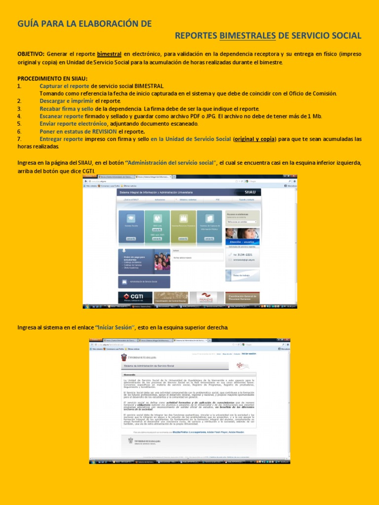 Cómo Elaborar Reportes Bimestrales De Servicio Social Pdf