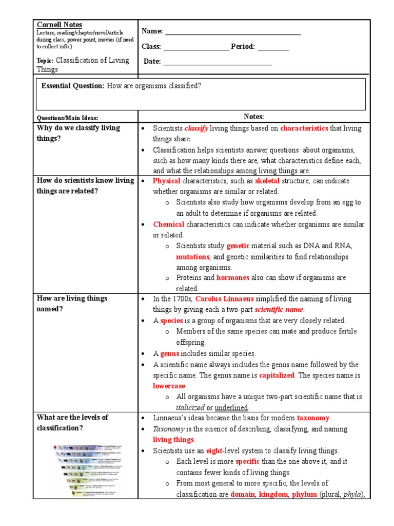 Cornell Notes - Classification of Living Things Filled in Version | PDF ...