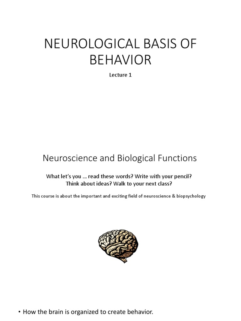 Neurological Basis of Behavior | PDF | Neuron | Nervous System
