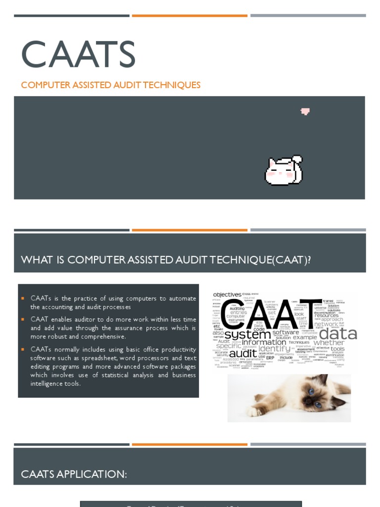 CIS Report PAPS1009 CAATS | PDF | Information Technology Management ...