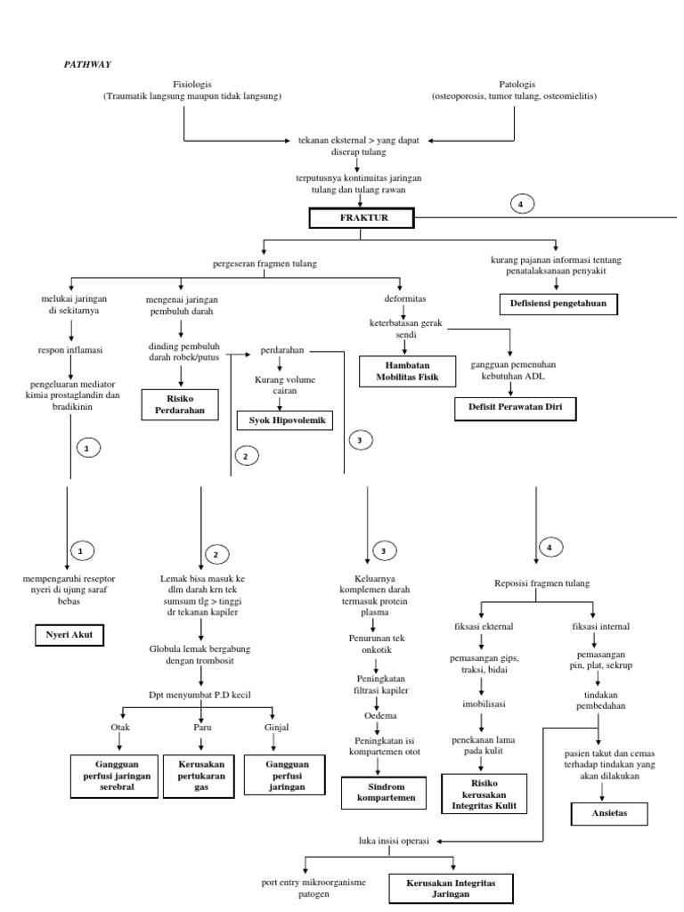 PATHWAY Fraktur | PDF