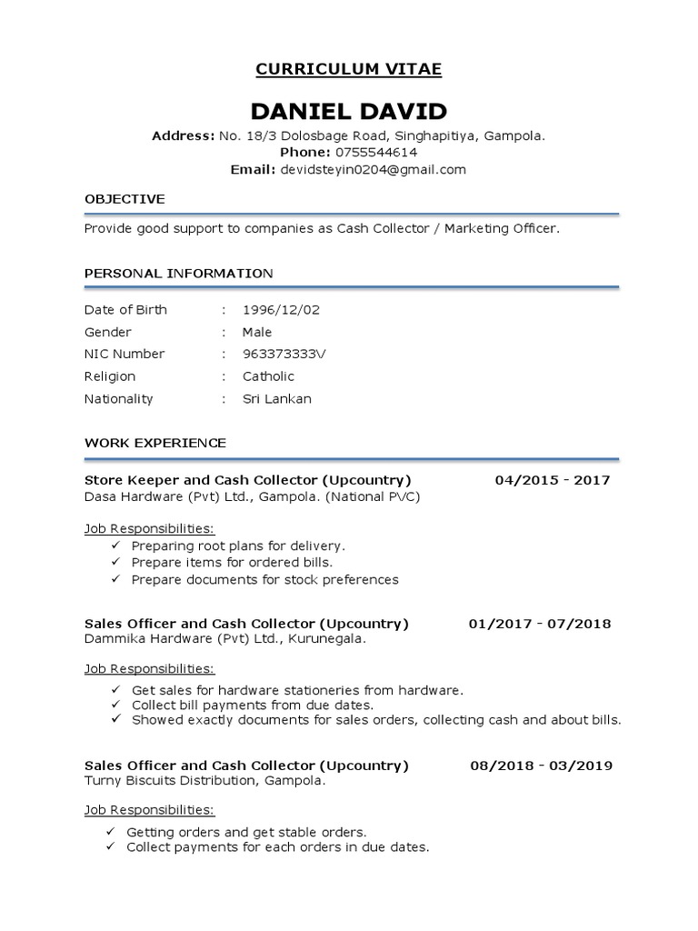 Daniel David CV