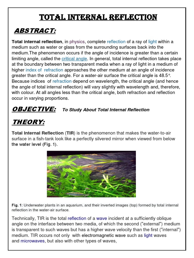 Physics of Total Internal Reflection | PDF | Refraction | Reflection (Physics)