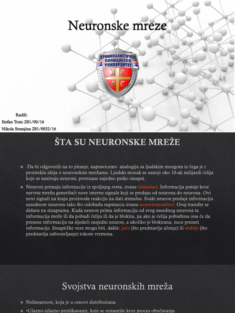 Neuronske Mreze | PDF