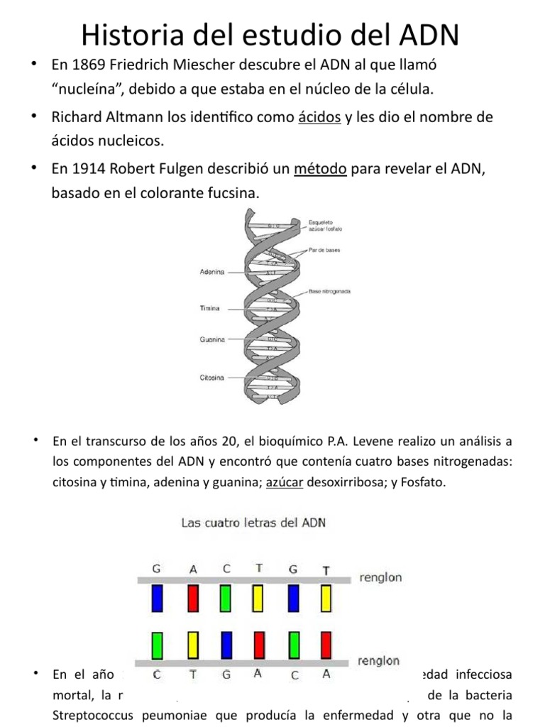 Historia Del ADN | PDF | Adn | Ácidos nucleicos