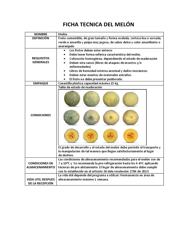 Ficha Tecnica Del Melón | PDF