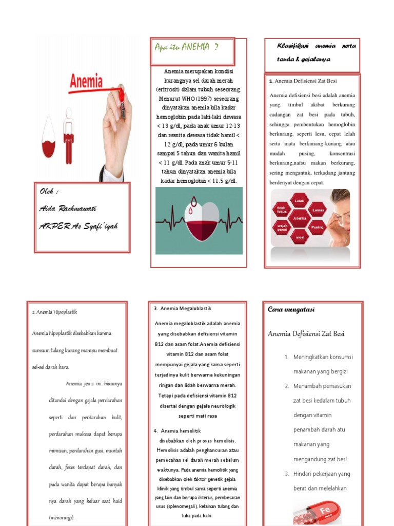 Leaflet Anemia | PDF