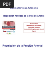 (PDF) Resumen Del Libro Principios de Anatomía y Fisiología 13° Edición ...