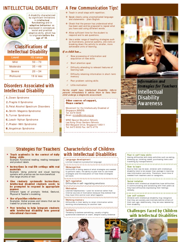 Intellectual Disability Brochure PDF | PDF | Intellectual Disability ...