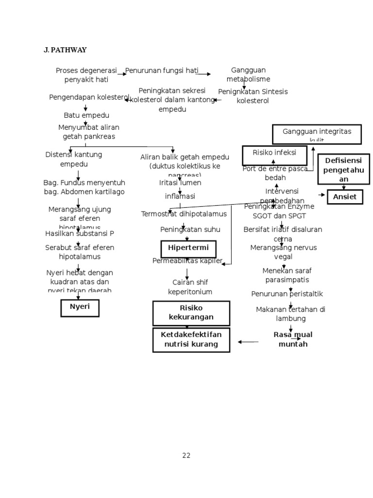 Pathway Kolelitiasis | PDF