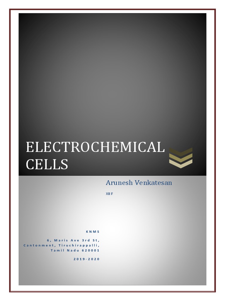 Electrochemical Cell | PDF | Electrochemistry | Materials