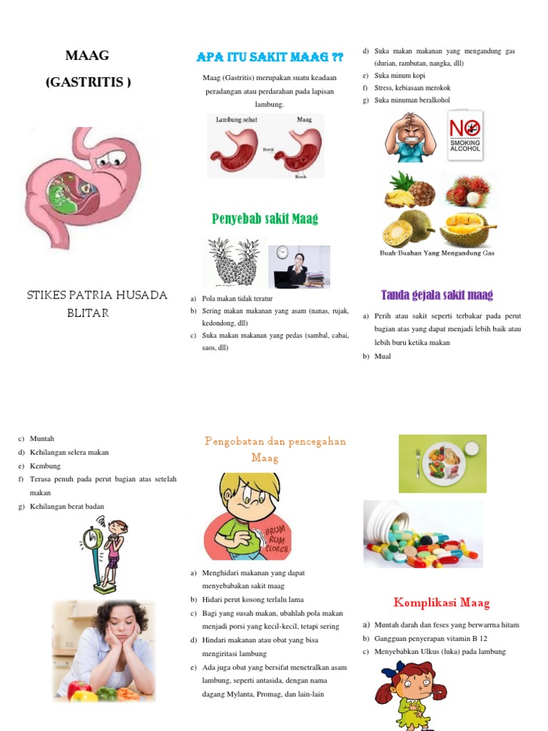 Leaflet Ikm Maag SAP | PDF