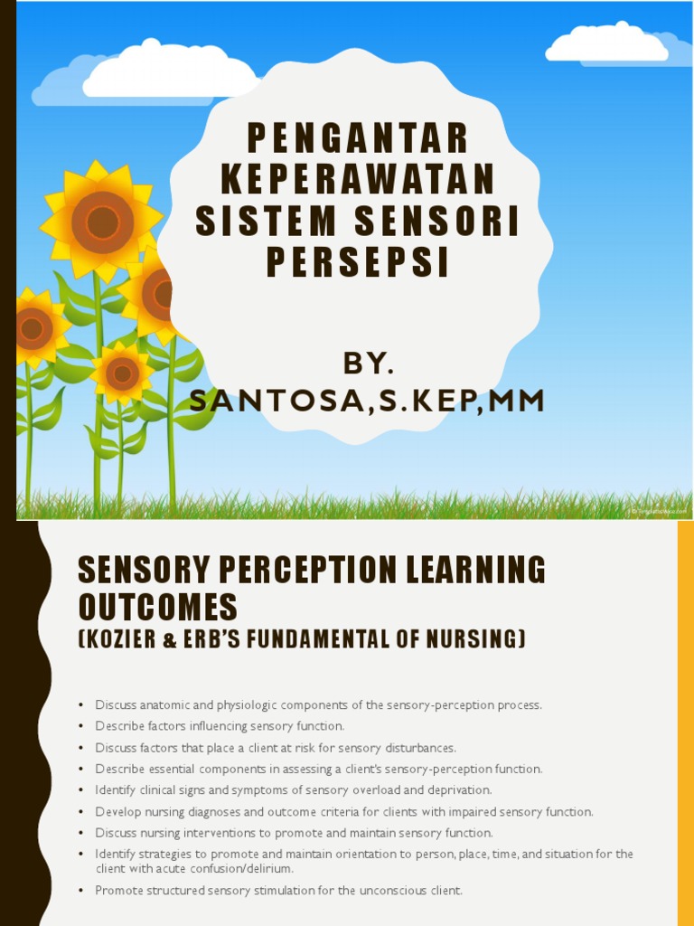 Askep Sensori Persepsi KMB - Santosa | PDF