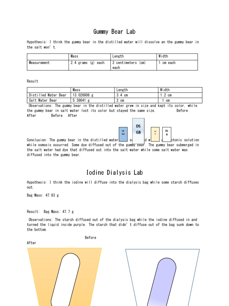 Gummy Bear Lab | PDF | Osmosis | Chemical Substances