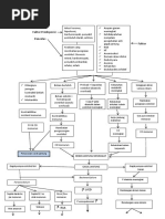 Pathway CAD STEMI Revisi | PDF