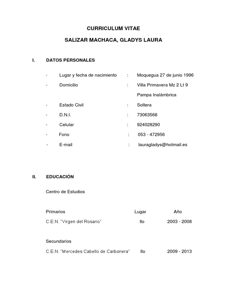 Curriculum Vitae Laura | PDF