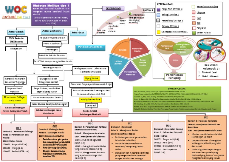 Woc Diabetes Tipe 1 | PDF