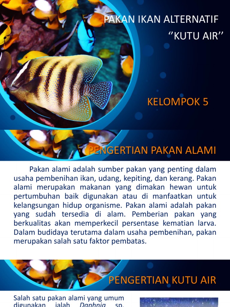 Kutu Air-1 | PDF