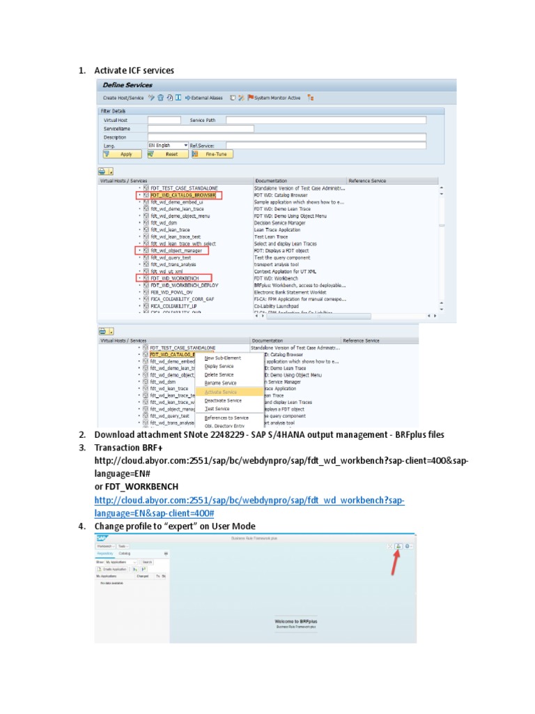 Activation Steps BRF+ | PDF