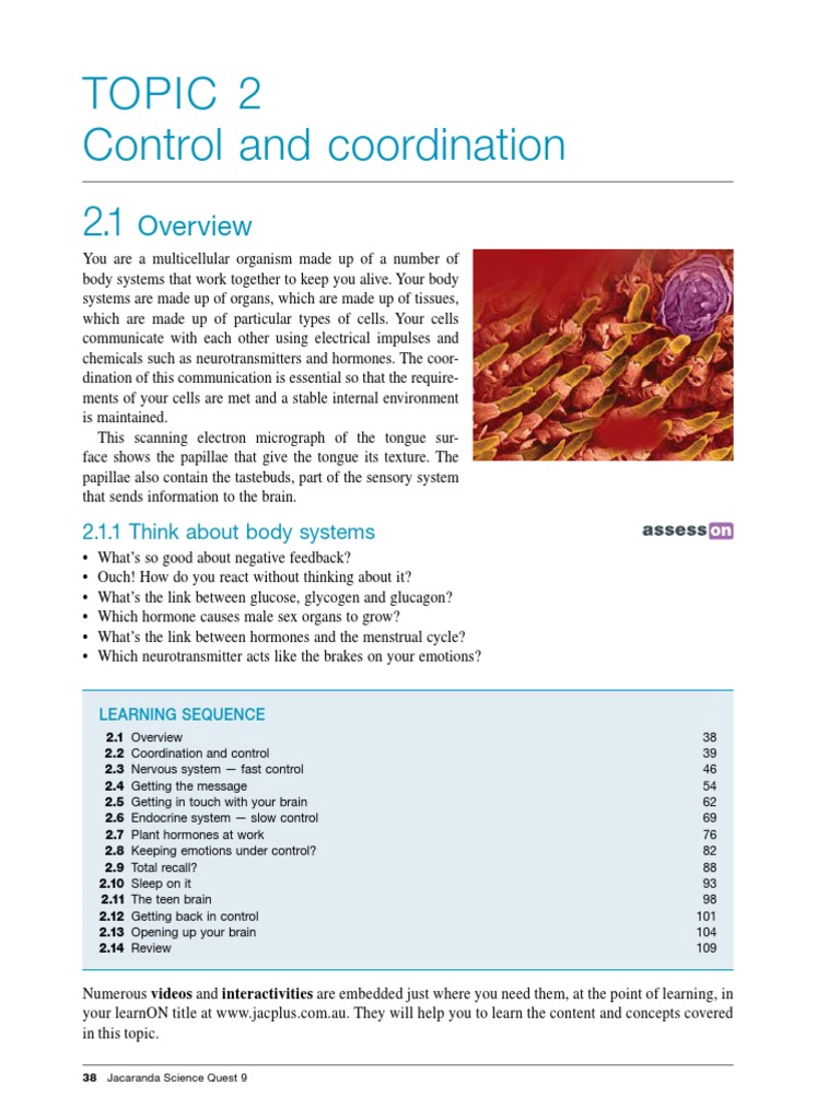 Science Quest 9 | PDF | Neuron | Axon