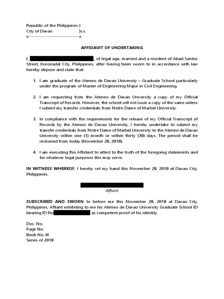 Affidavit of Undertaking | PDF