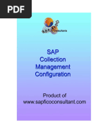 SAP BCM Overview and Configuration | PDF | Accounts Payable | Banks