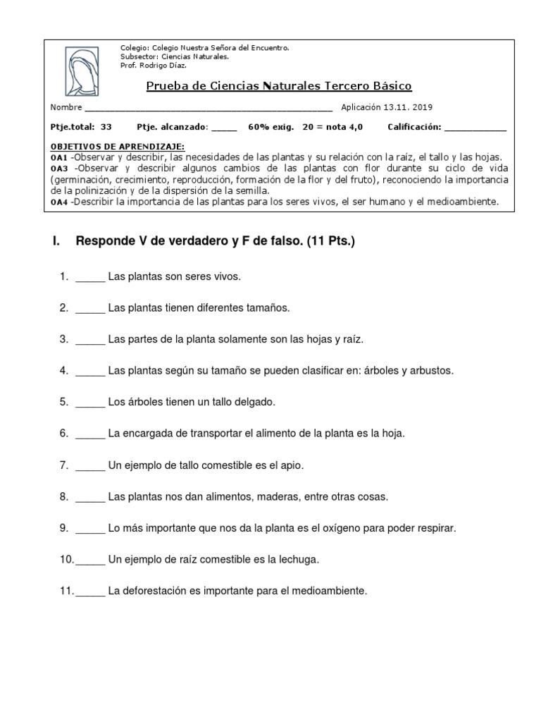 Prueba Ciencias Naturales - Partes de Las Plantas y Funciones 3 NSE ...