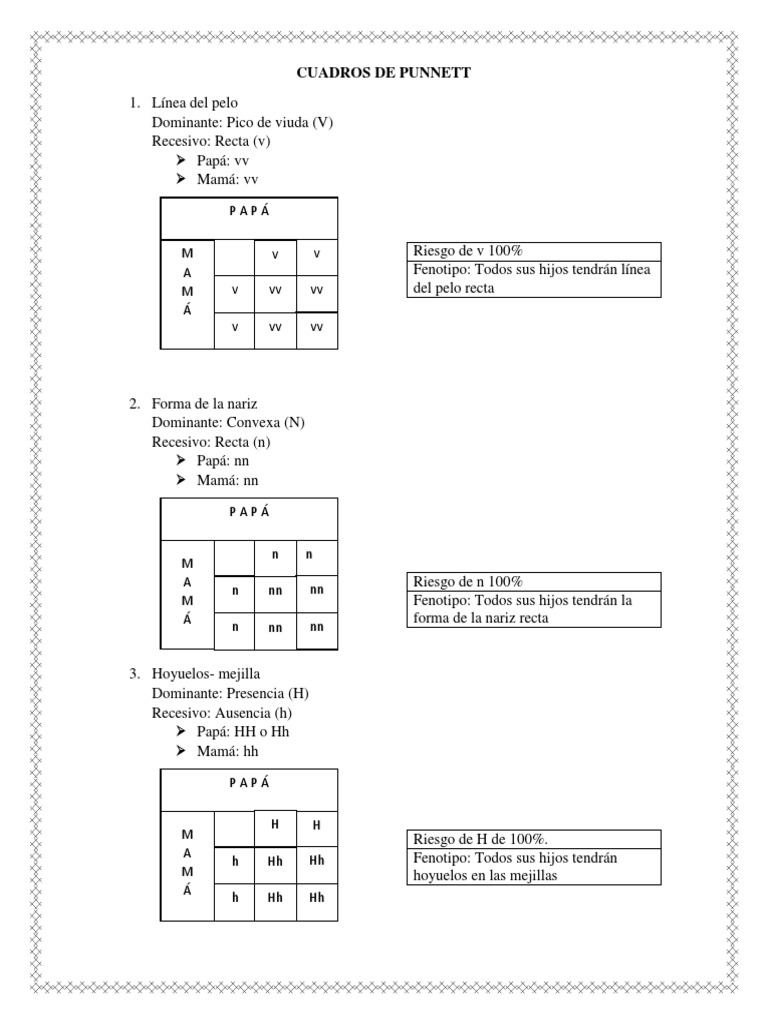 Genotipo Cuadro De Punnett