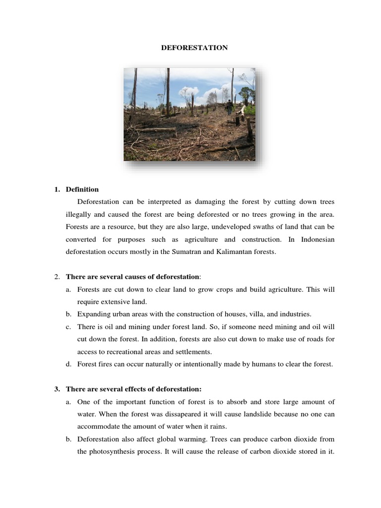 Deforestation | PDF | Deforestation | Forests