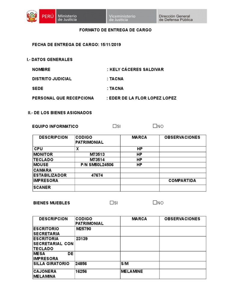 Formato de Entrega de Cargo | PDF | Tecnología de medios | Tecnología ...