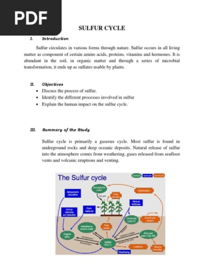 Sulfur Cycle For Dummies