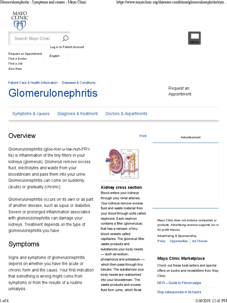 Glomerulonephritis - Symptoms and Causes - Mayo Clinic | PDF | Kidney ...