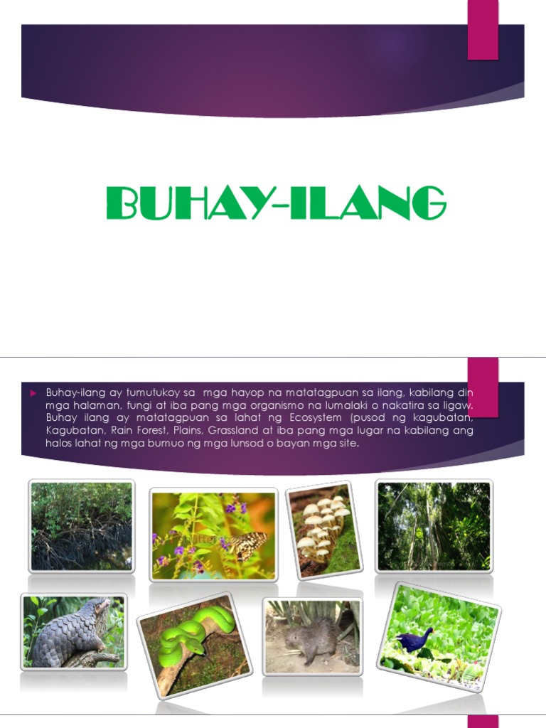 Ra 9147 Tagalog Presentation Final | PDF