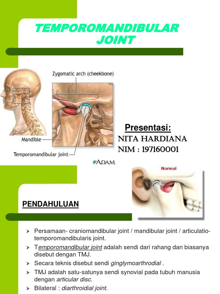 TMJ Anatomi | PDF | Musculoskeletal System | Human Anatomy