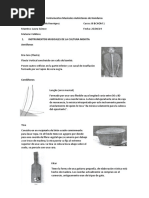 Clasificacion de Los Instrumentos Primitivos | PDF | Instrumentos ...