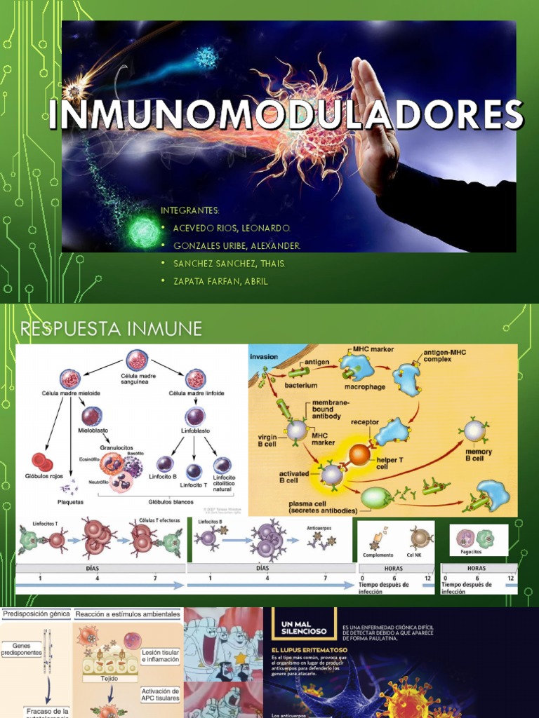 Inmunomoduladores Inmuno I | PDF | Inflamación | Célula T