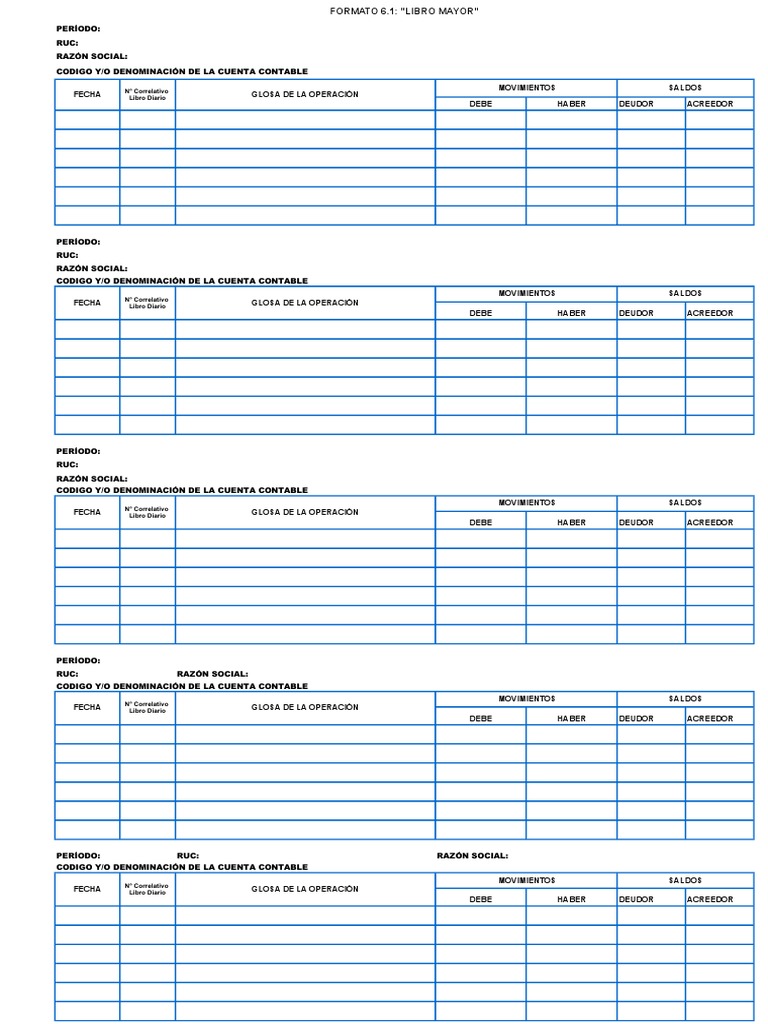 Formato 6.1 Libro Mayor | PDF