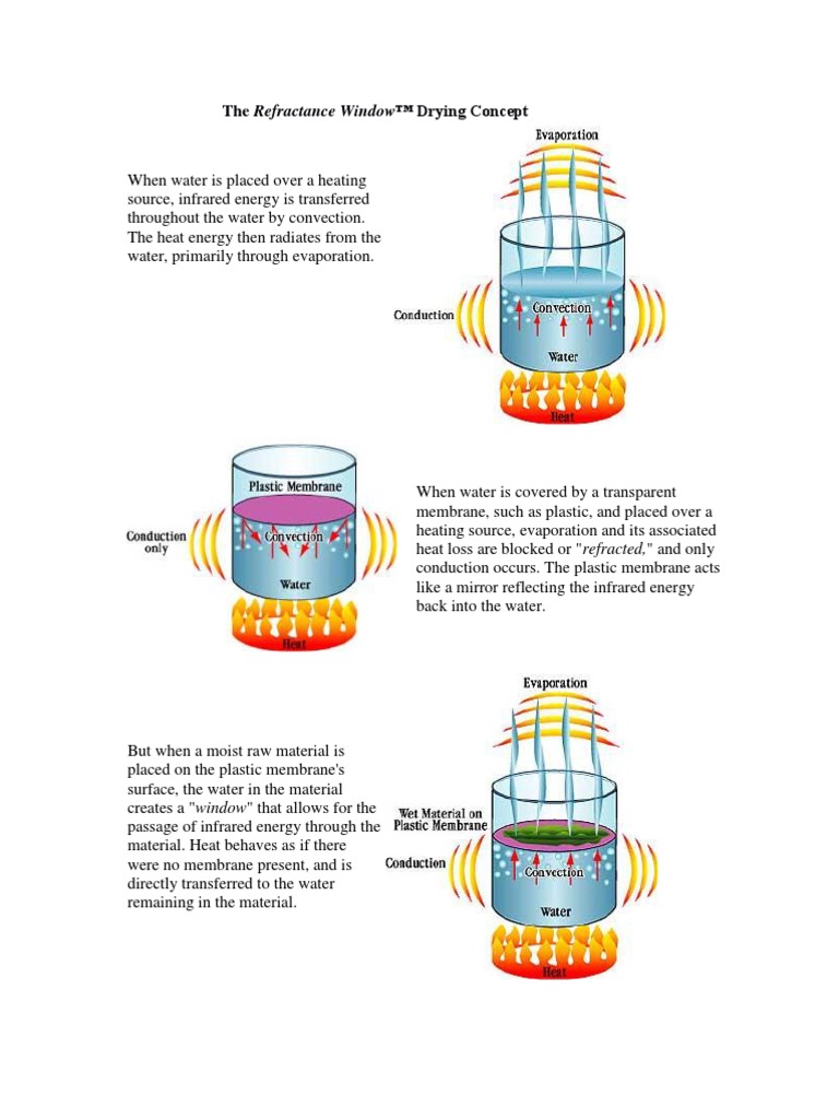 Refractance Window Drying | PDF | Freeze Drying | Heat