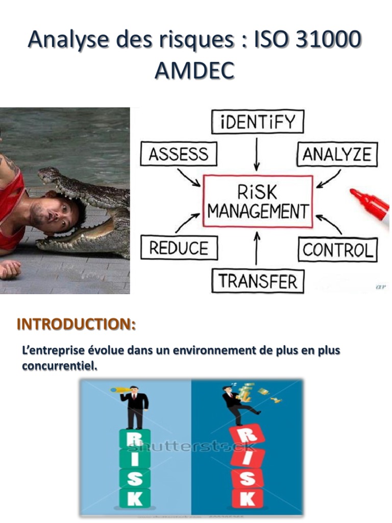 Gestion des Risques: ISO 31000 et AMDEC | PDF | Risque | Gestion des risques