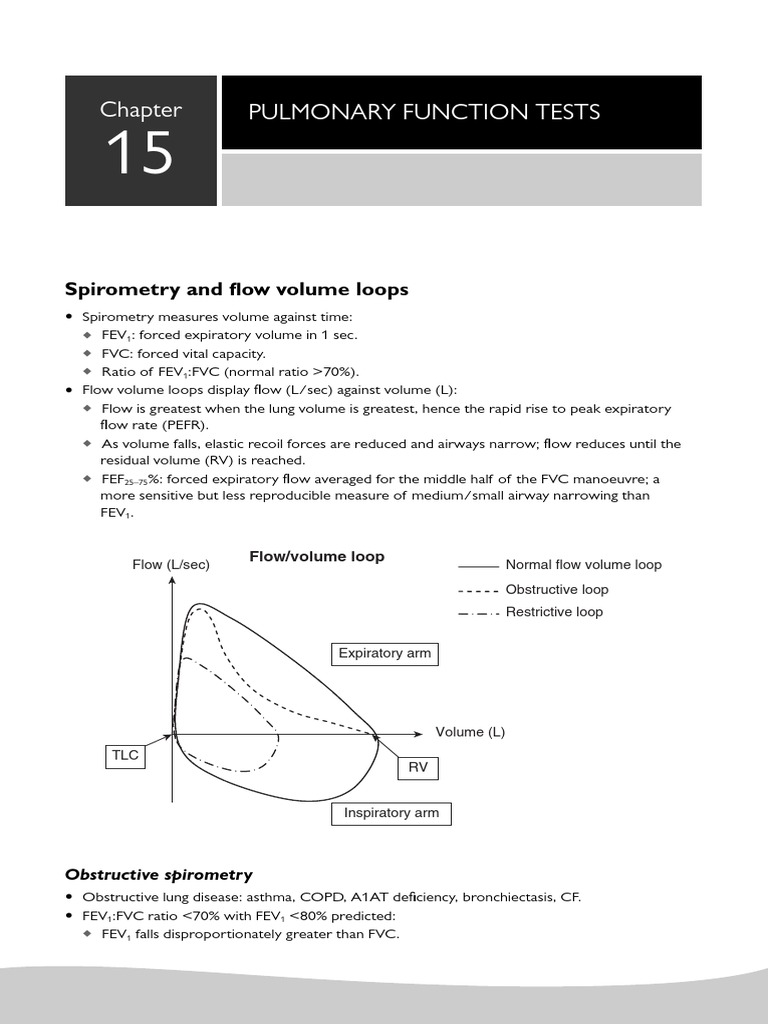 Flow Loop | PDF | Exhalation | Lung